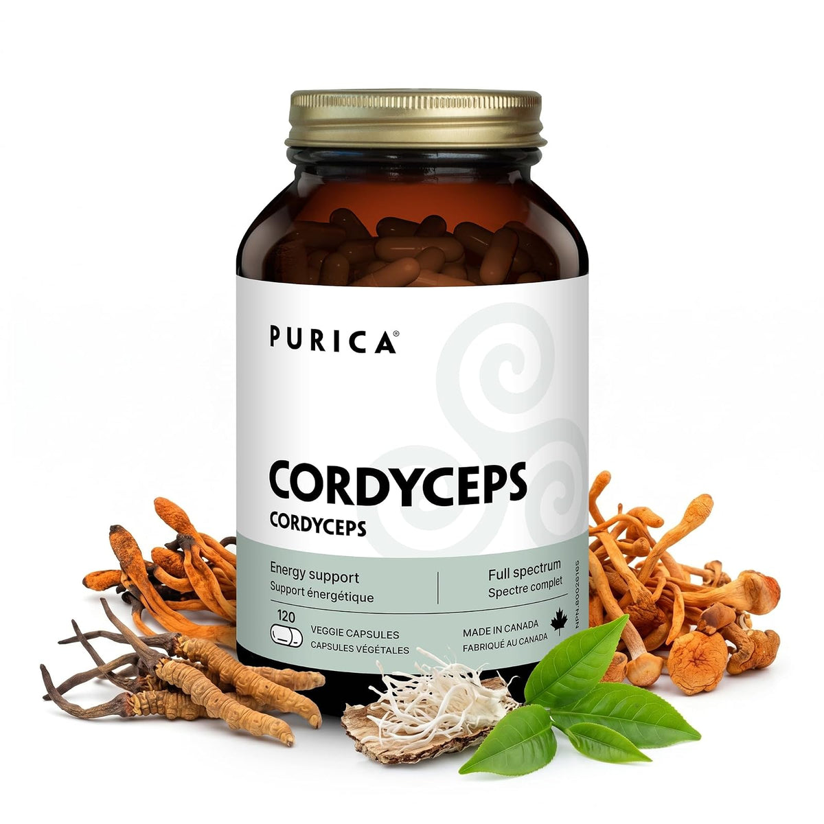 PURICA Cordyceps mushroom health benefits