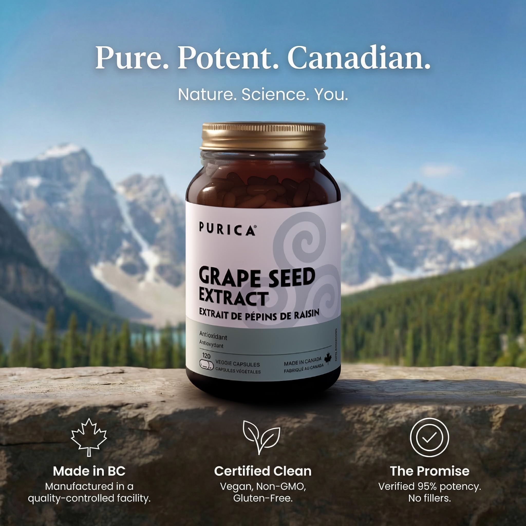 Purica grape seed extract benefits