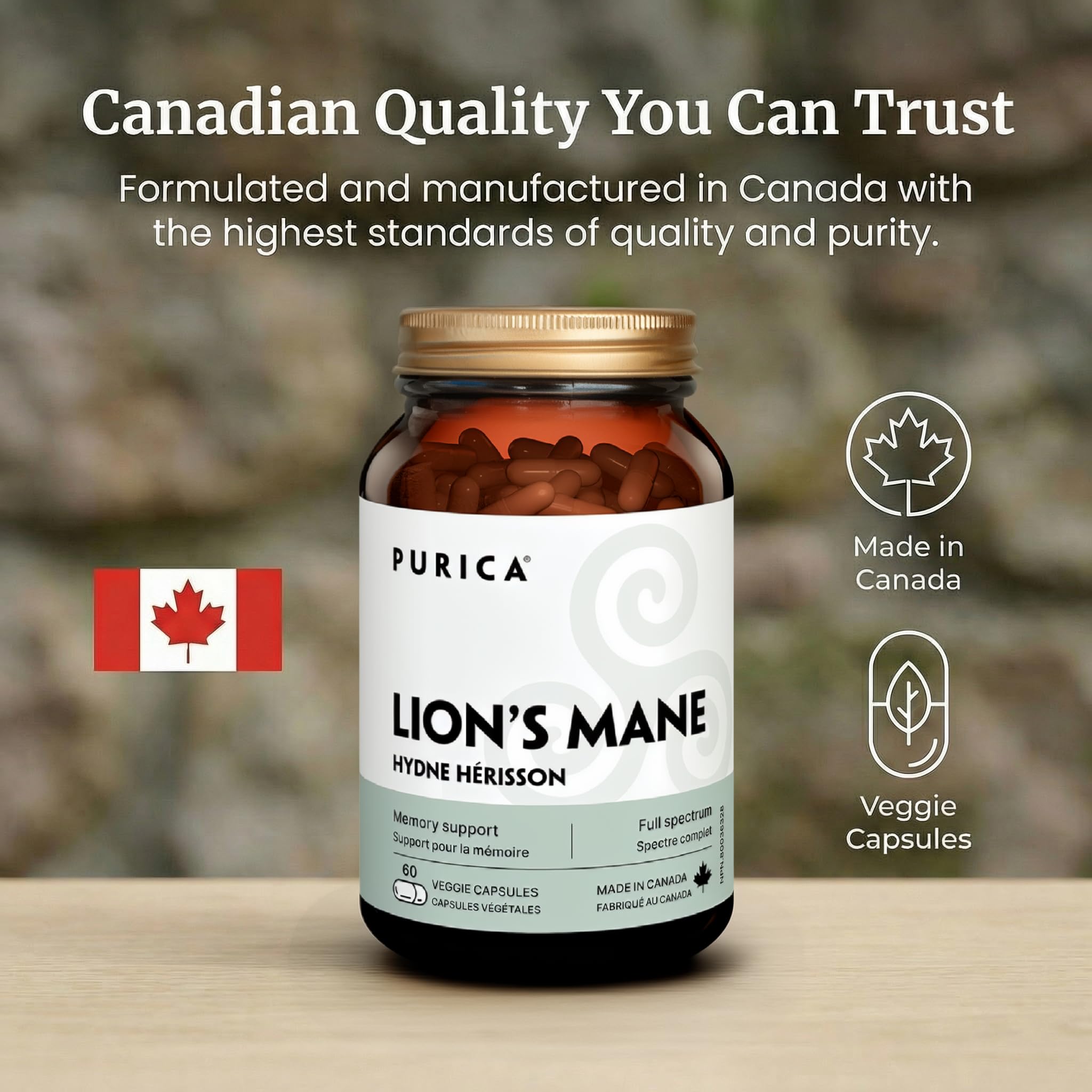 Purica mushrooms for enhanced memory recall