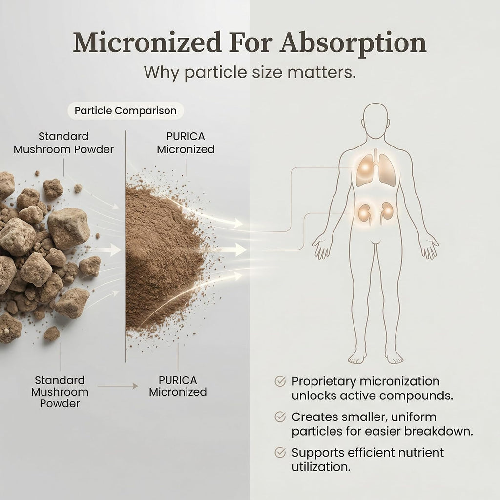 PURICA vegan capsules for vitality