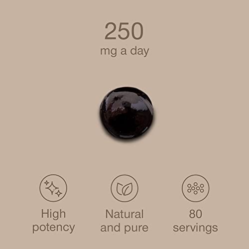 purified shilajit for detox