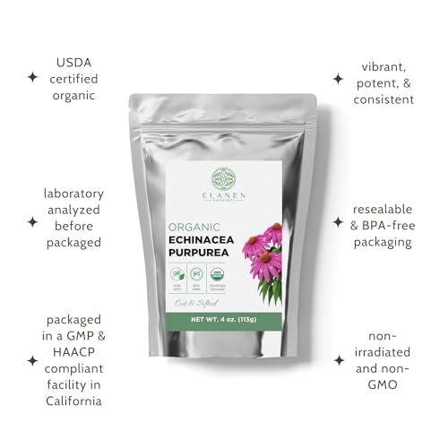 purple coneflower echinacea for health