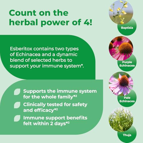 purple coneflower extract for immune health