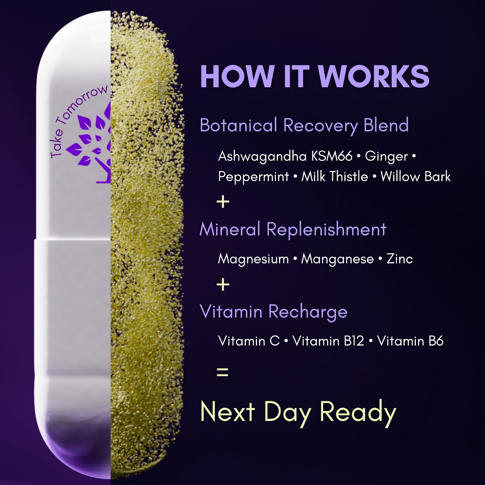 purple tree multivitamin for men's wellness