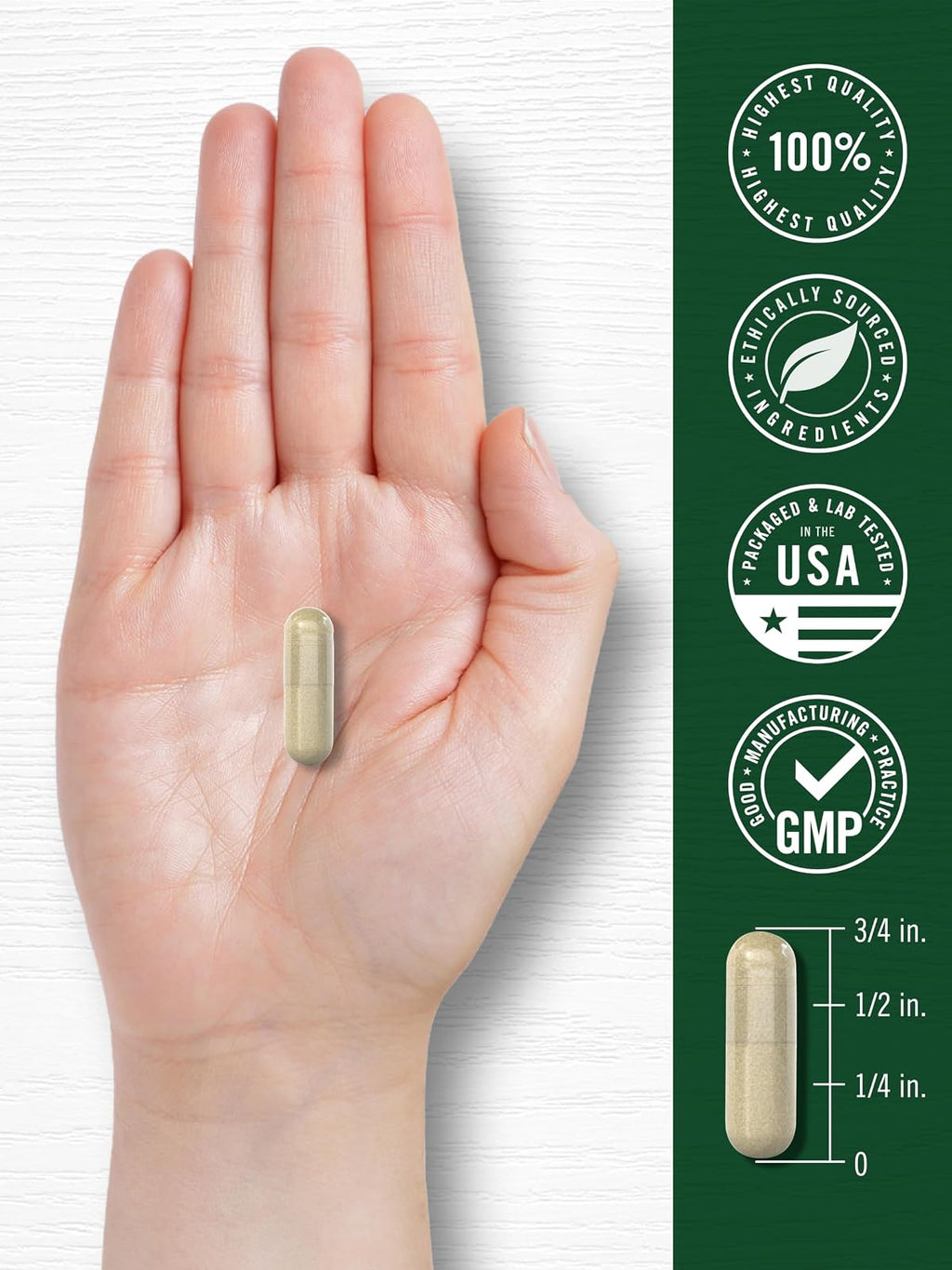 Purslane extract for daily nutrition