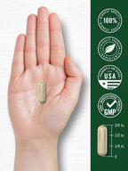 Purslane extract for daily nutrition