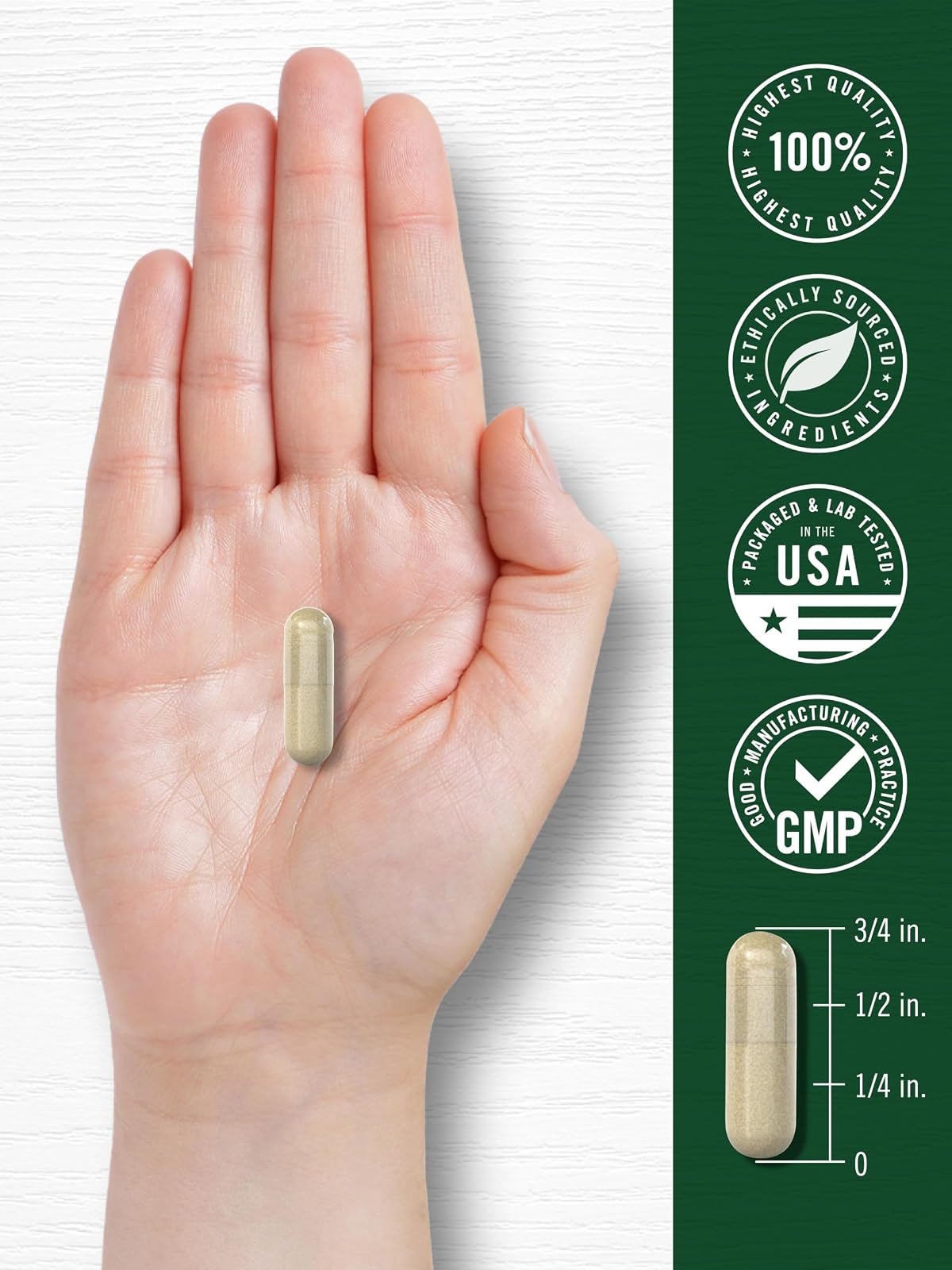 Purslane extract for daily nutrition