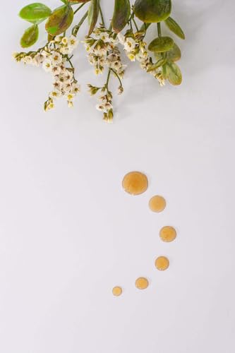 Purslane tincture enhances nutrient absorption