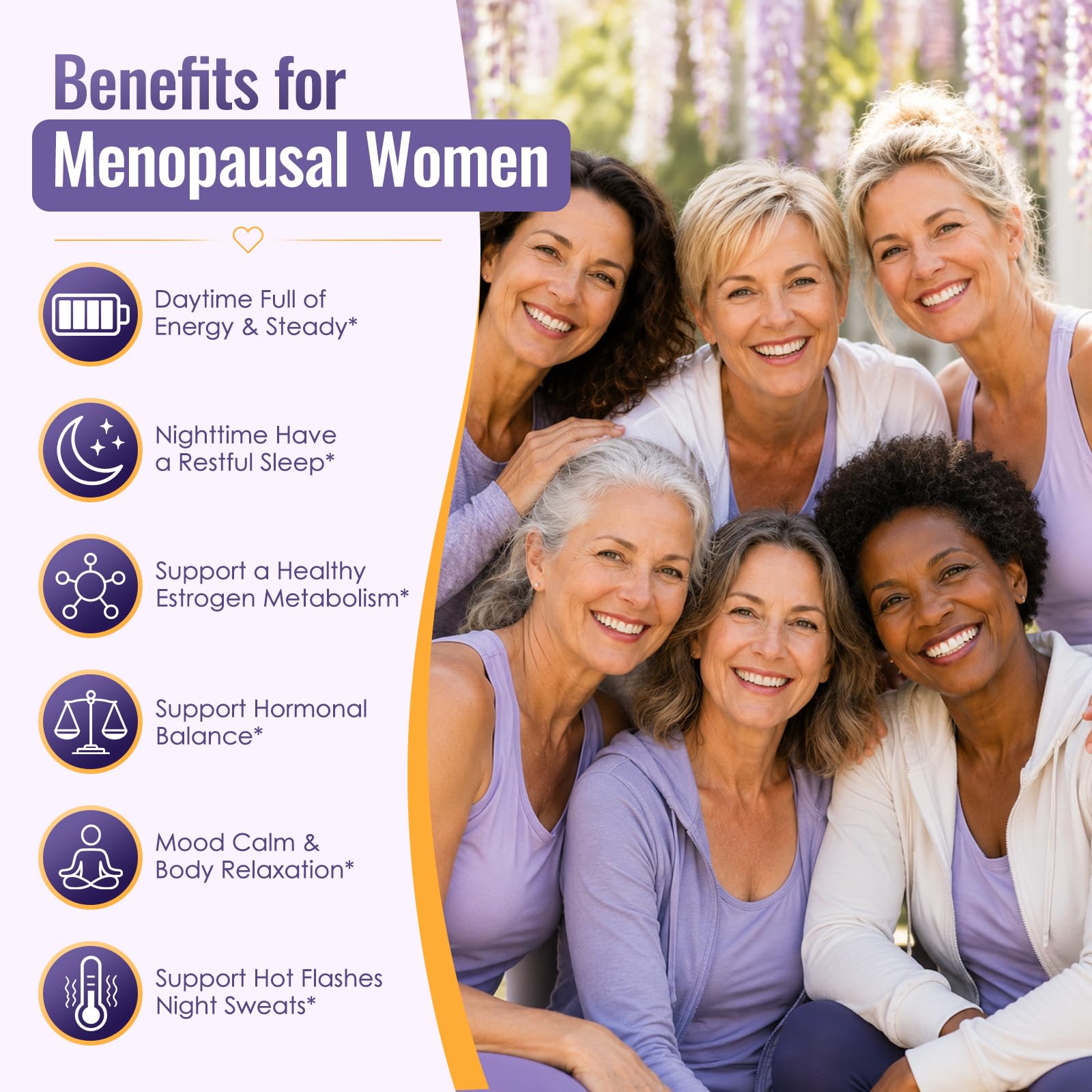 Puyflam 12 in 1 menopause complex