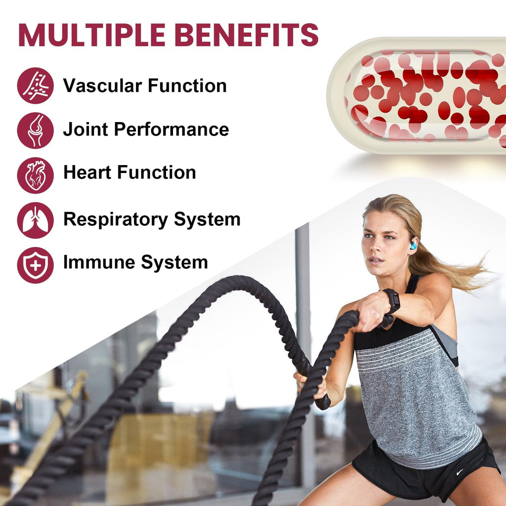 Pycnogenol PQQ supports brain function