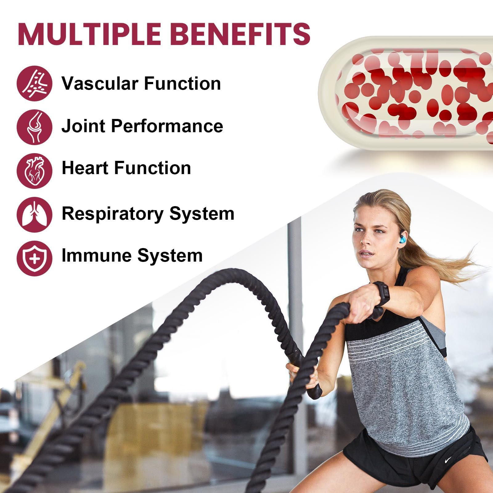Pycnogenol PQQ supports brain function