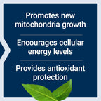 Pyrroloquinoline quinone health benefits
