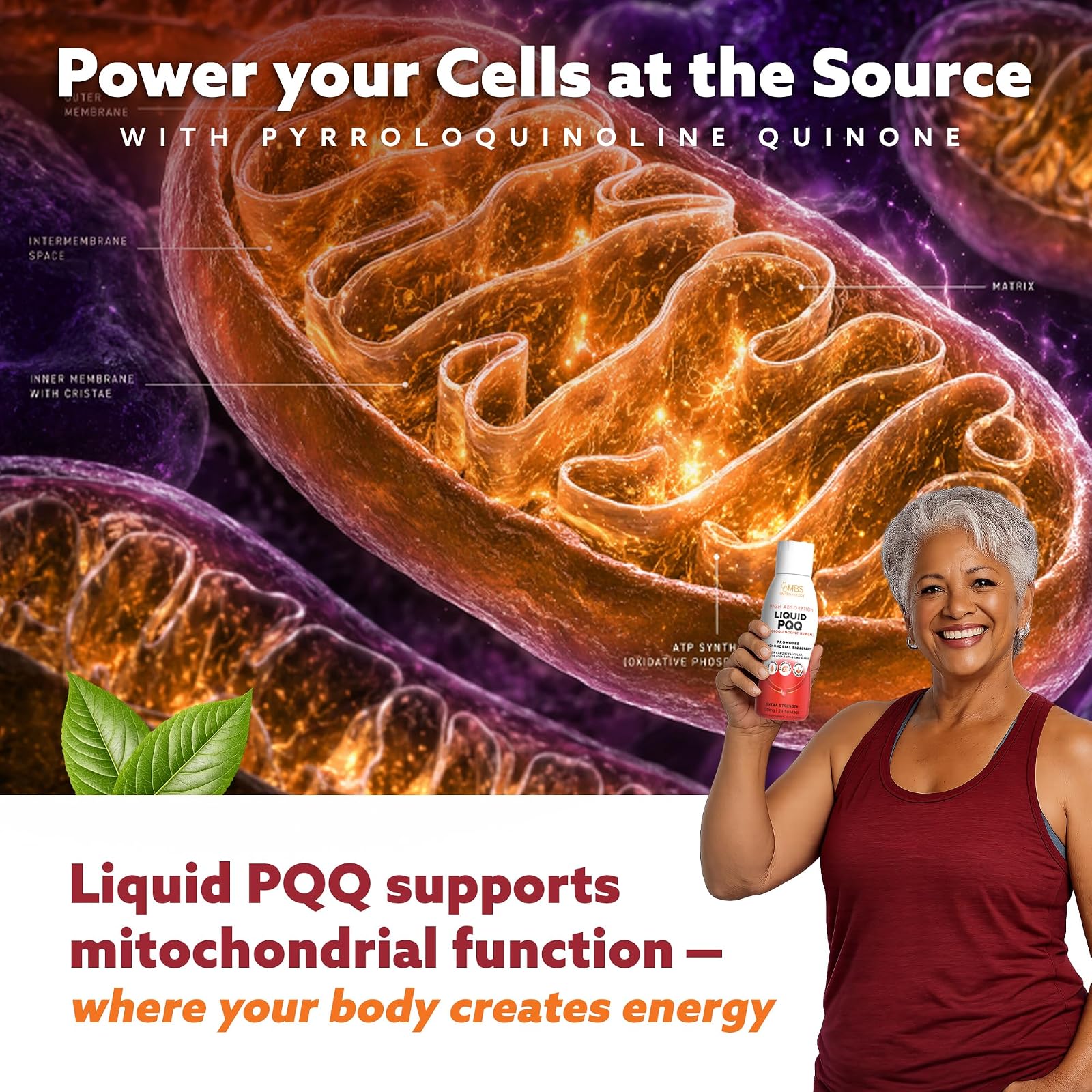 Pyrroloquinoline quinone health benefits