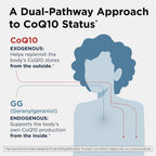 Q-Evail coq10 for antioxidant protection