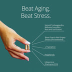 Qualia Mitochondria+ antioxidant-rich formula