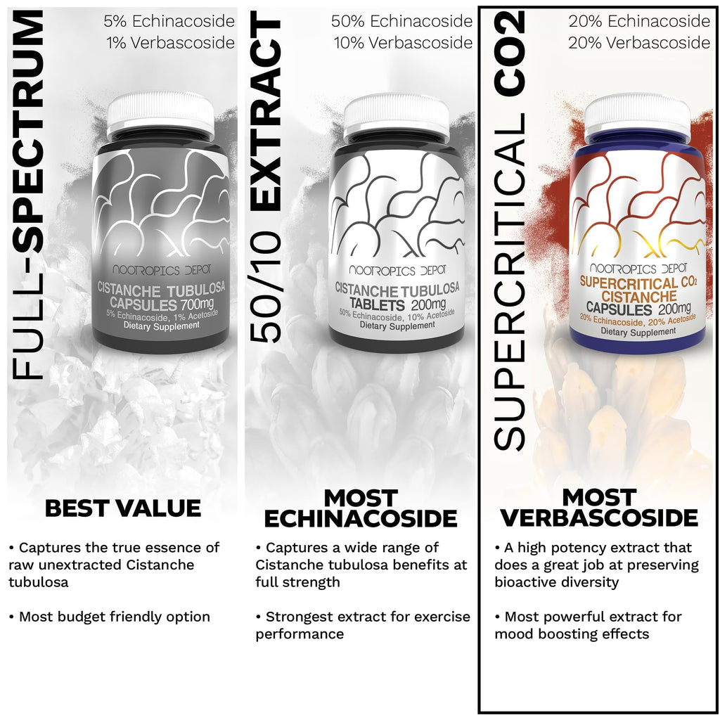 quality echinacea extract for better focus