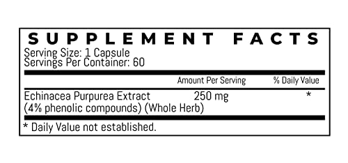 Quality echinacea supplement for daily use