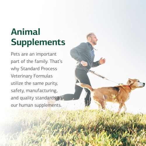 Quality heart health for dogs
