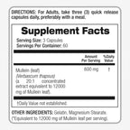 Quality mullein capsules for daily wellness