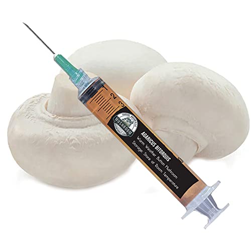 Quality mushroom spores for gardening