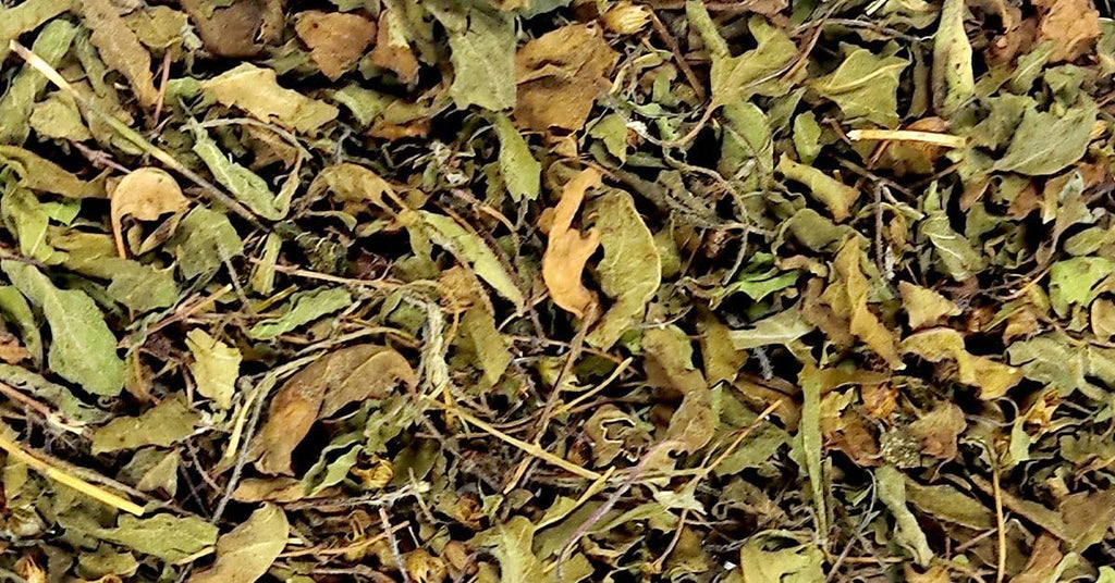 Queen of Herbs for wellness