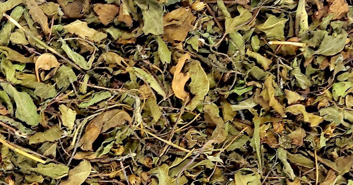 Queen of Herbs for wellness