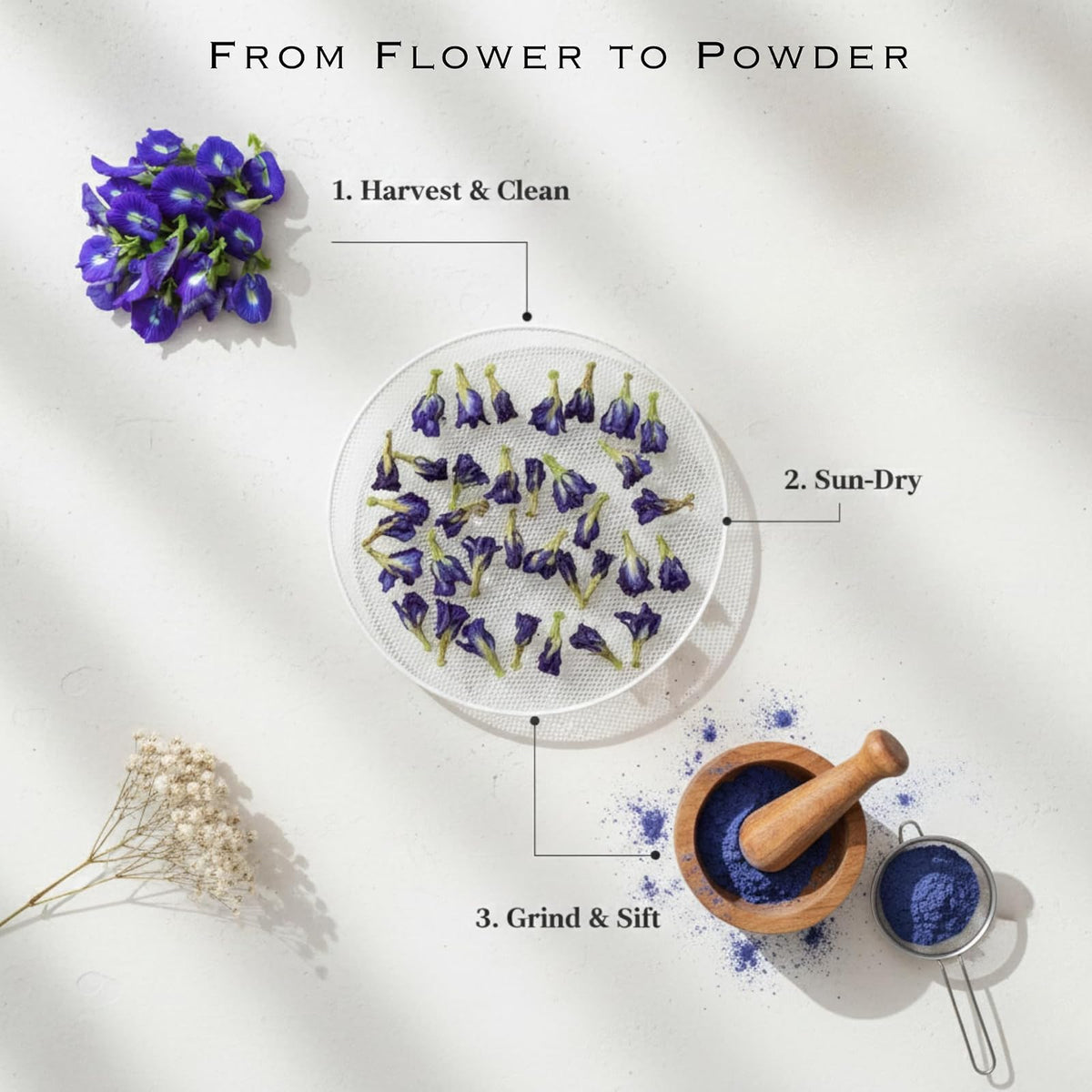 Queen Omi herbal tea for beauty