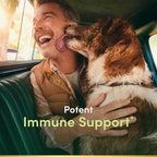 quercetin 500 mg antioxidant benefits
