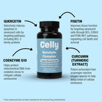 quercetin and fisetin health benefits