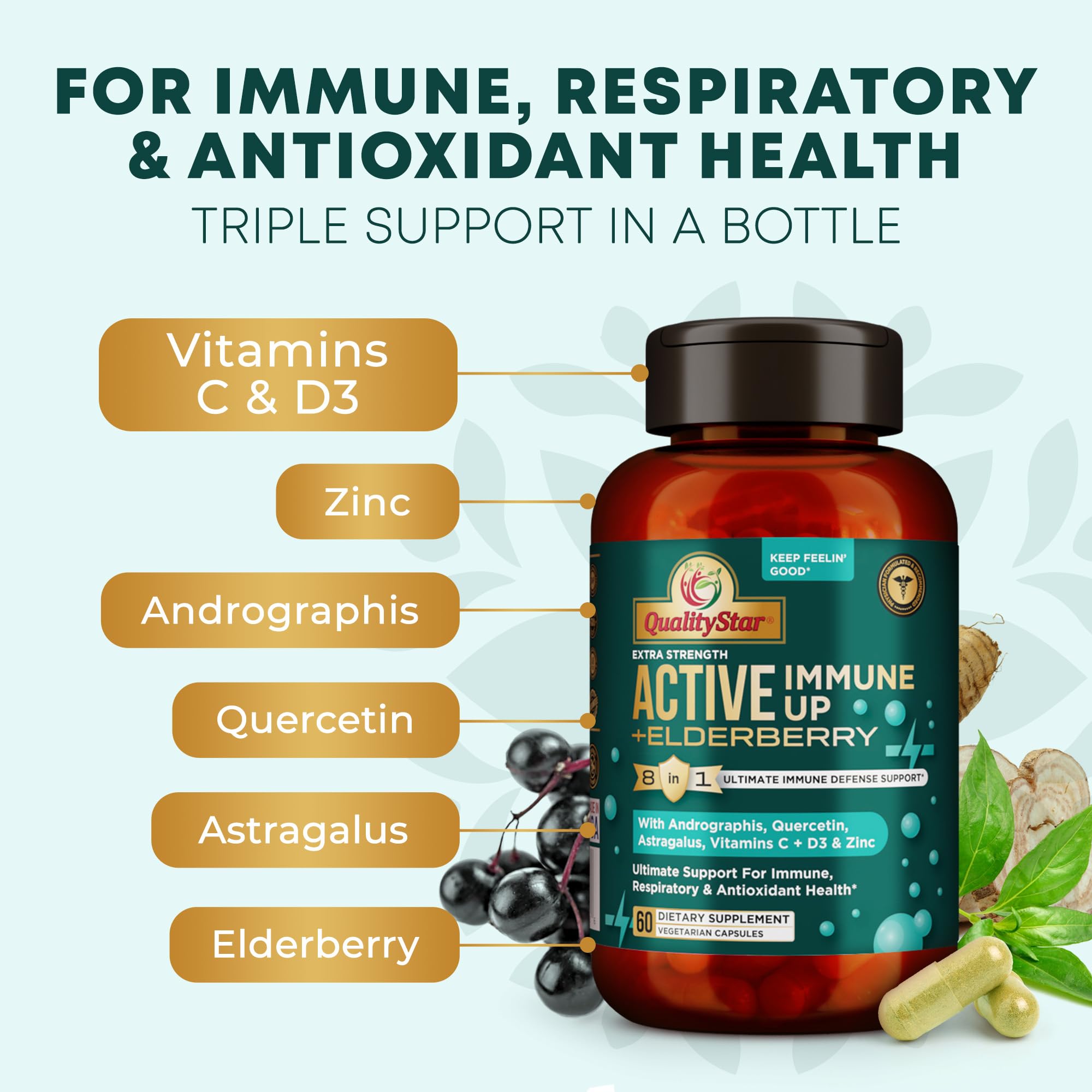 Quercetin enhanced elderberry formula