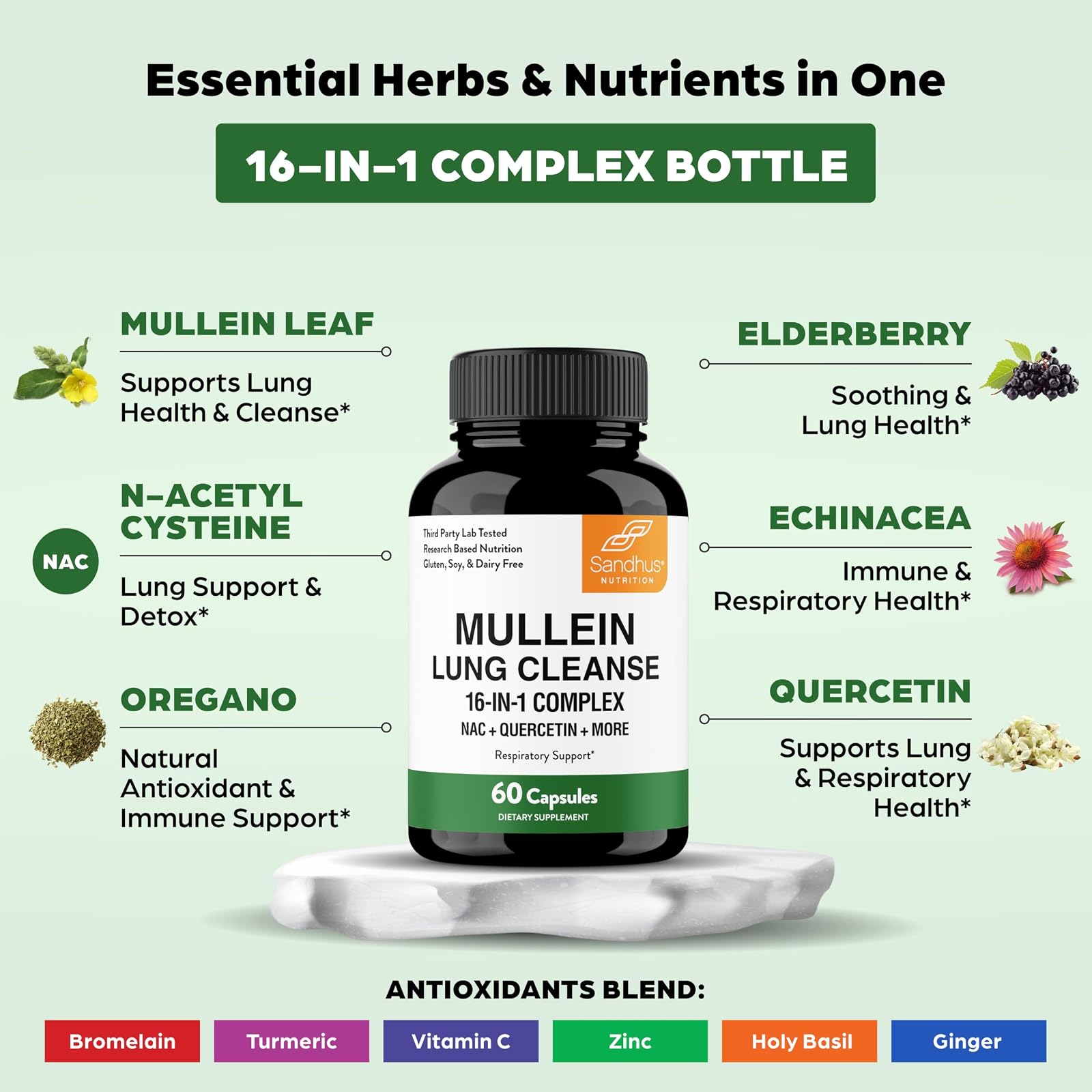 Quercetin enhanced Mullein capsules