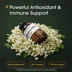 quercetin supplement for immune support