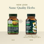 quercetin synergy for respiratory health