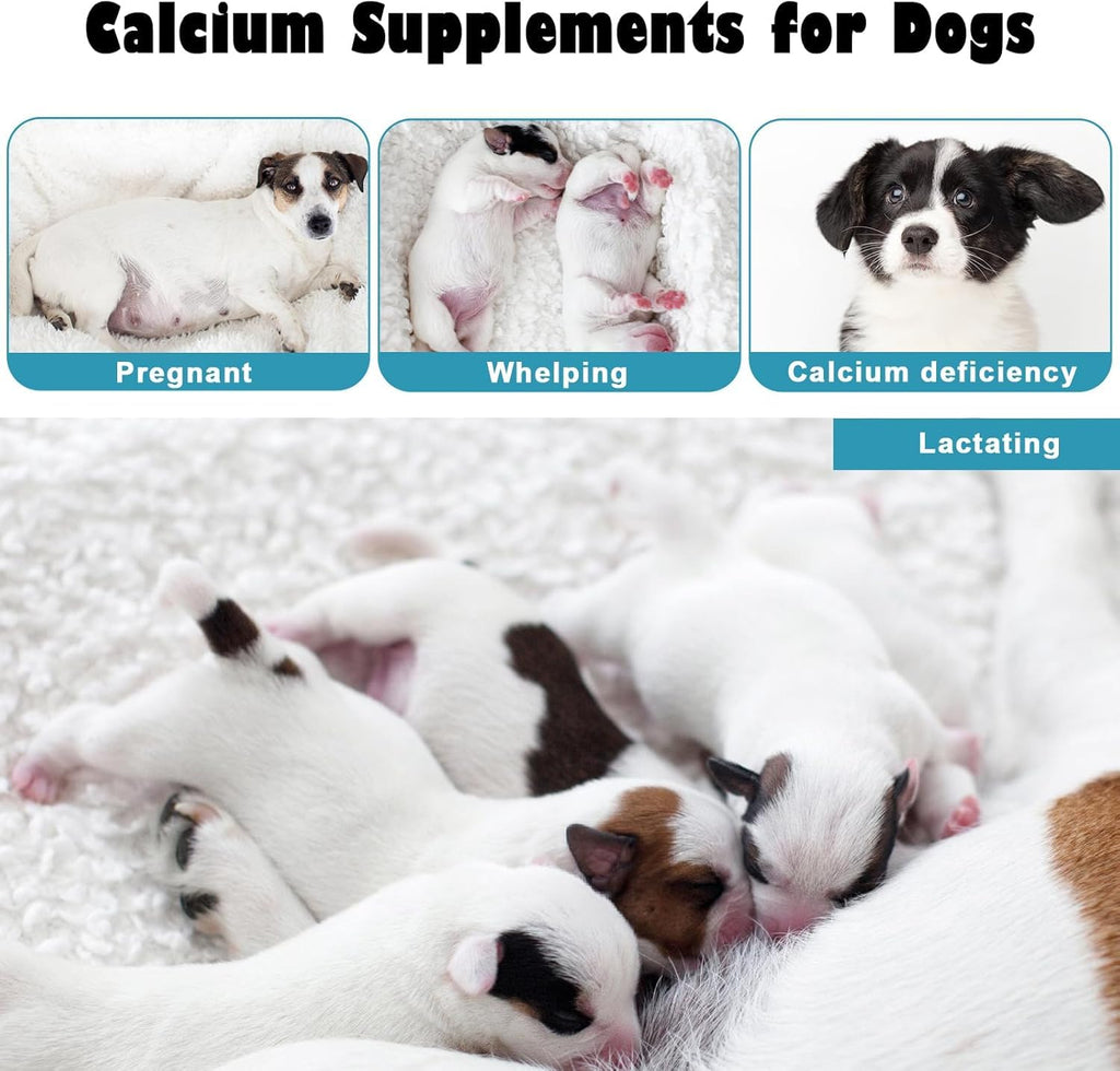 Quick absorption calcium for dog health