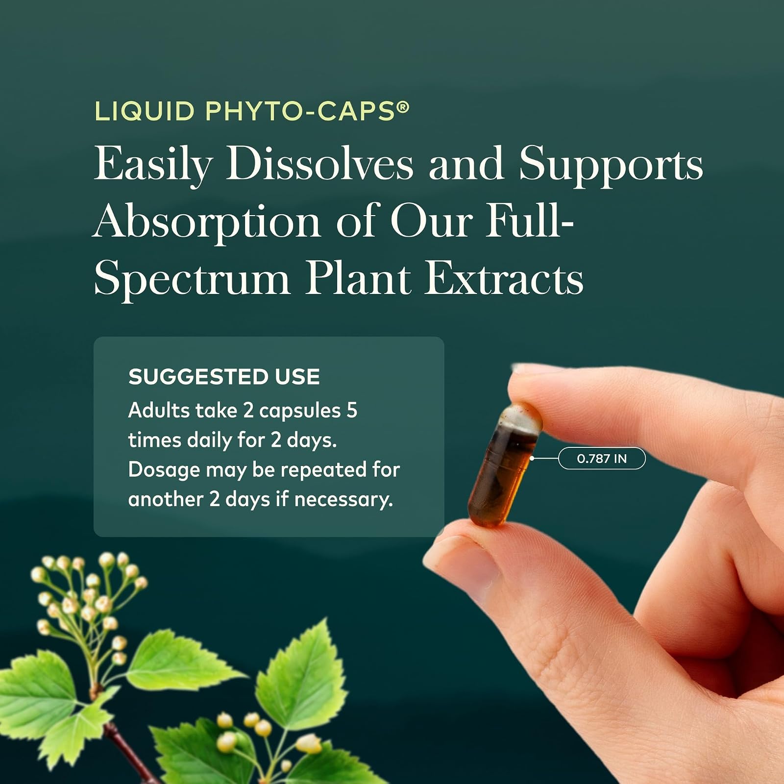quick defense echinacea supplement