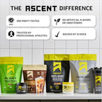 quick energy boost protein powder