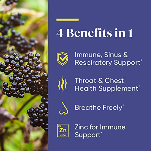 quick immune boost with elderberry