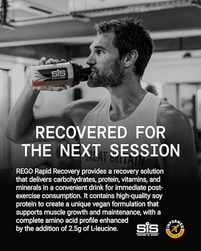 quick recovery vegan protein powder