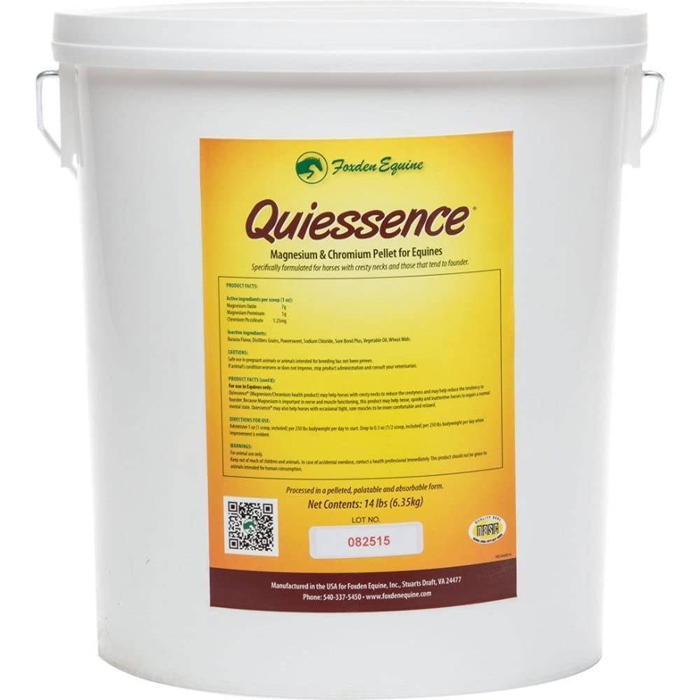 Quiessence magnesium large bag for relaxation