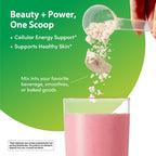 Rainbow Light creatine for workout recovery