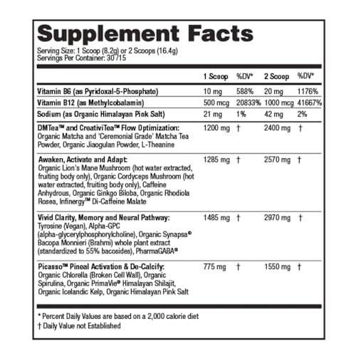 rainforest berry health mushrooms