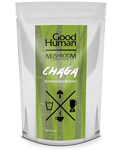 rapid absorption antioxidant tea mushrooms