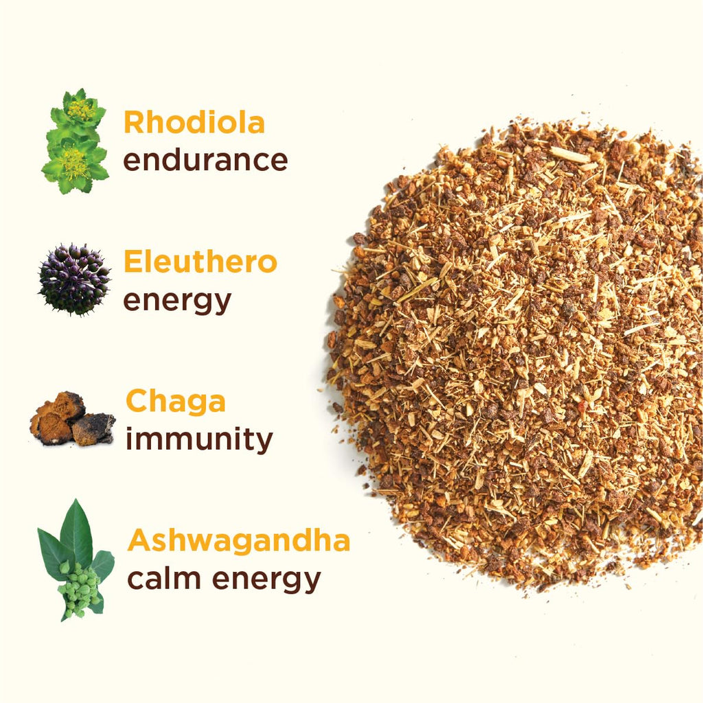 Rasa Original coffee with Chaga
