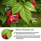 Raspberry leaf tea for digestive support