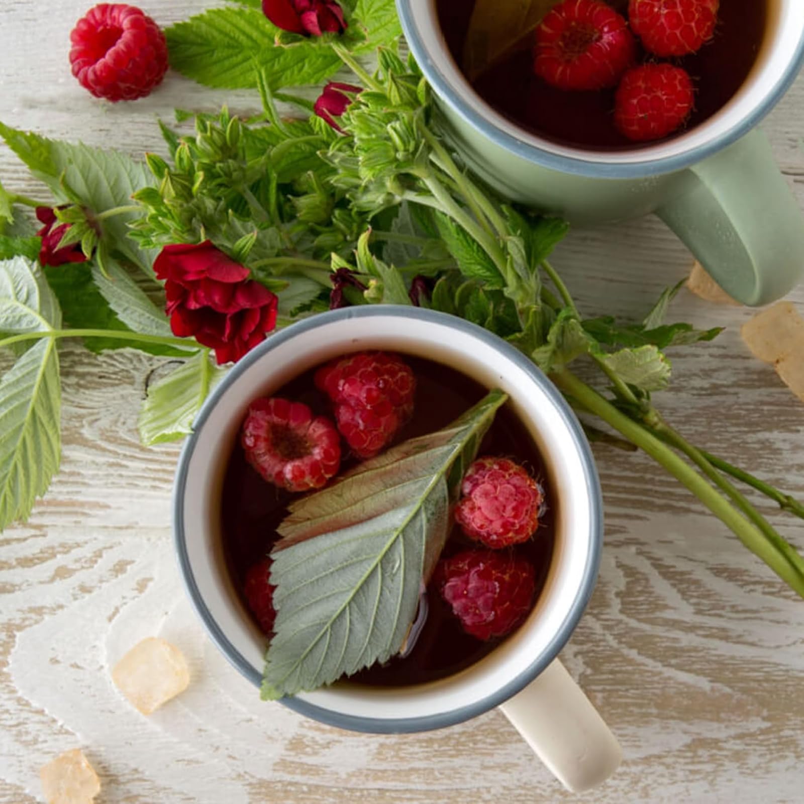 Raspberry leaf tea for women's health