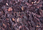 Ratanjot herbal tea for wellness