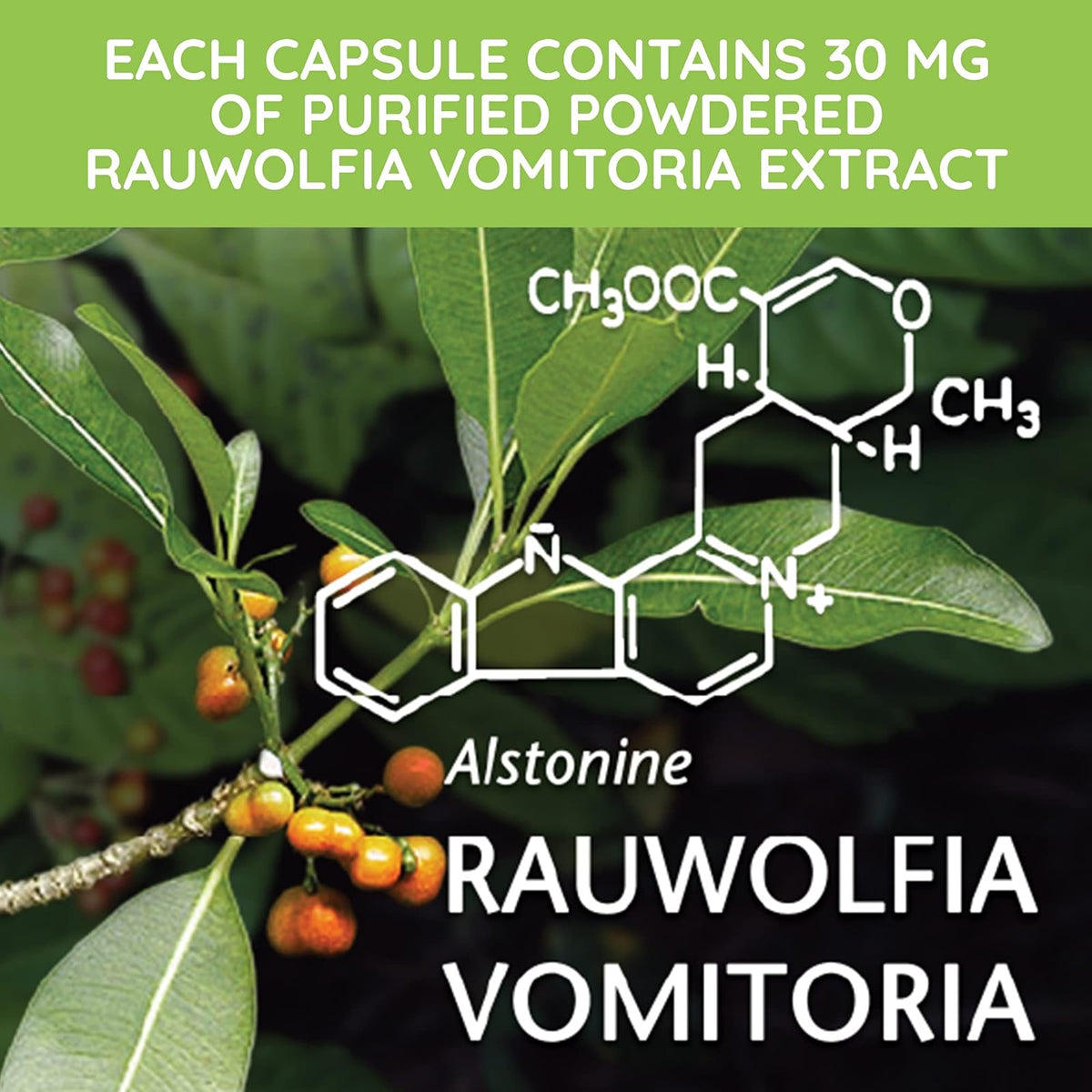 Rauwolfia Vomitoria extract for stress relief