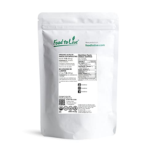 Raw alfalfa seeds for nutrition