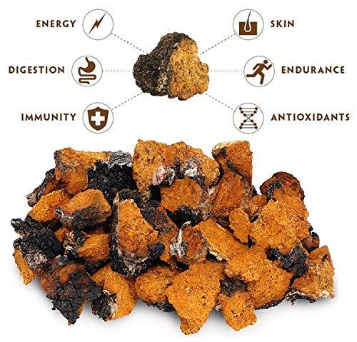 raw chaga chunks for wellness