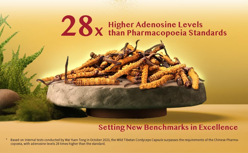 raw cordyceps for holistic support